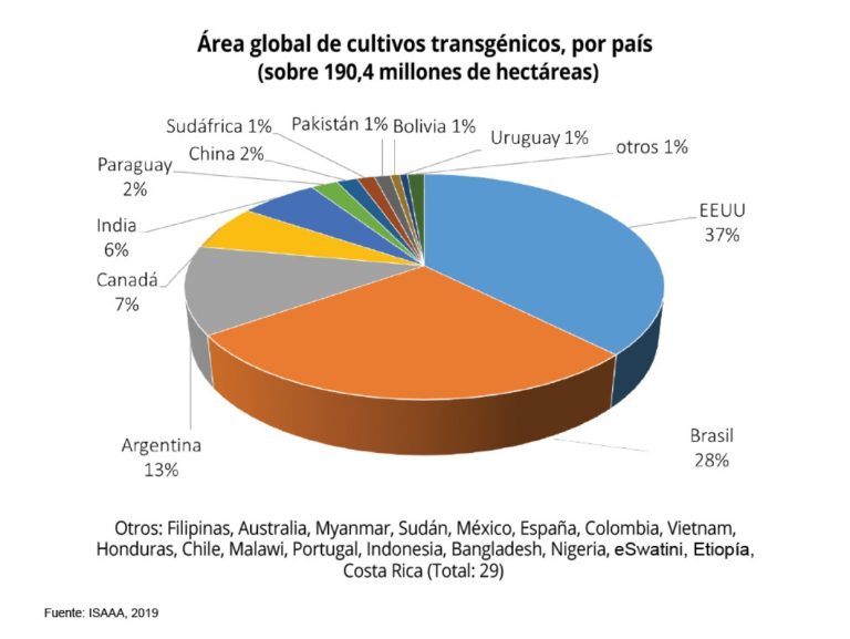¿Qué son los transgénicos y por qué cada vez más países aprueban su ...